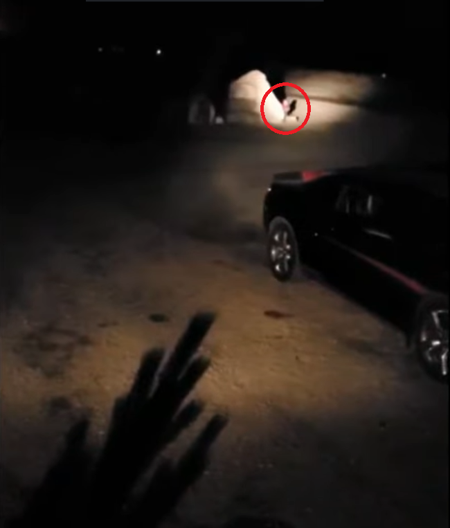 Strange small humanoid creature caught on camera by campers cparks ...