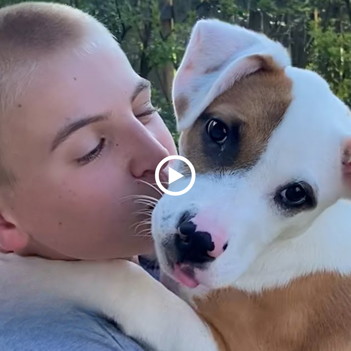 "Heartwarming Story: 12-Year-Old Kid's Mission to Save 4,800 Shelter Dogs"